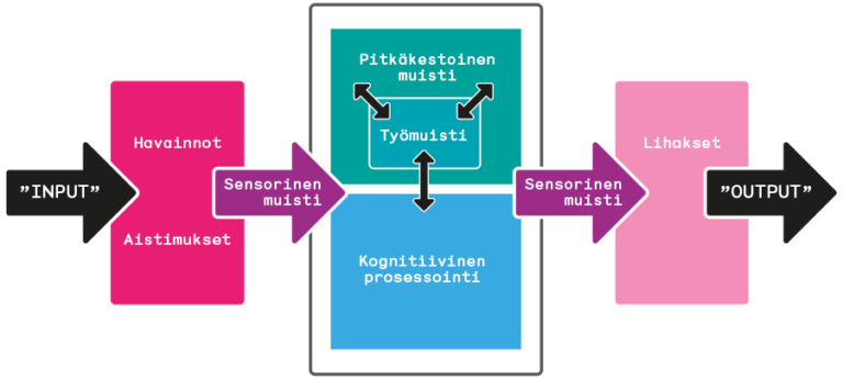 Kognitiivinen oppimiskäsitys – Ihmis- ja oppimiskäsitykset taideopetuksessa