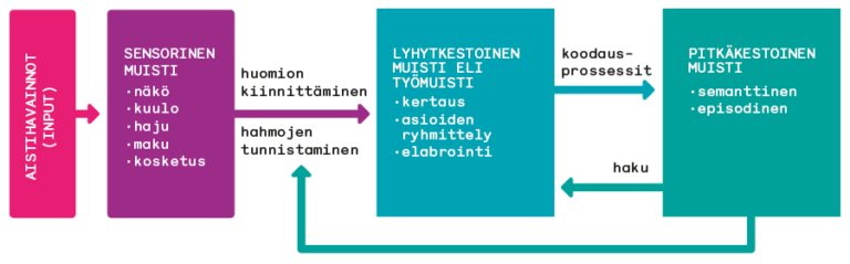 Kognitiivinen oppimiskäsitys – Ihmis- ja oppimiskäsitykset taideopetuksessa